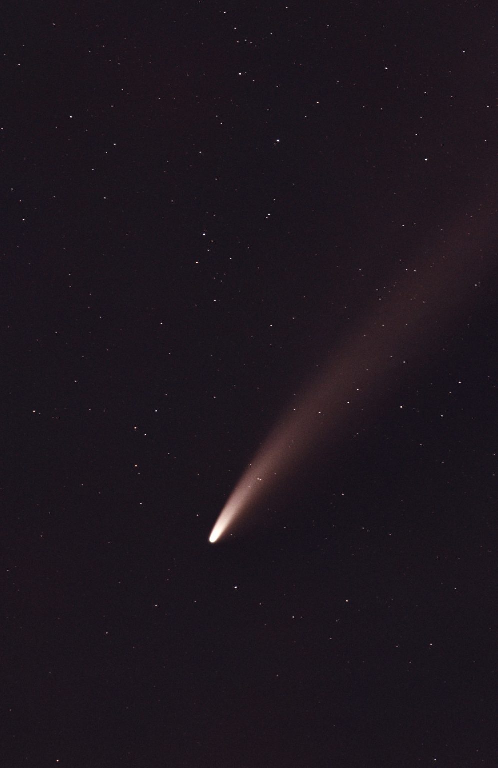 Komet Neowise C/2020 F3 - ad astra